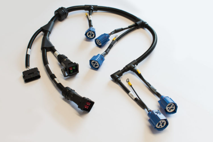 Wiring Harnesses - Dunford & Pearson